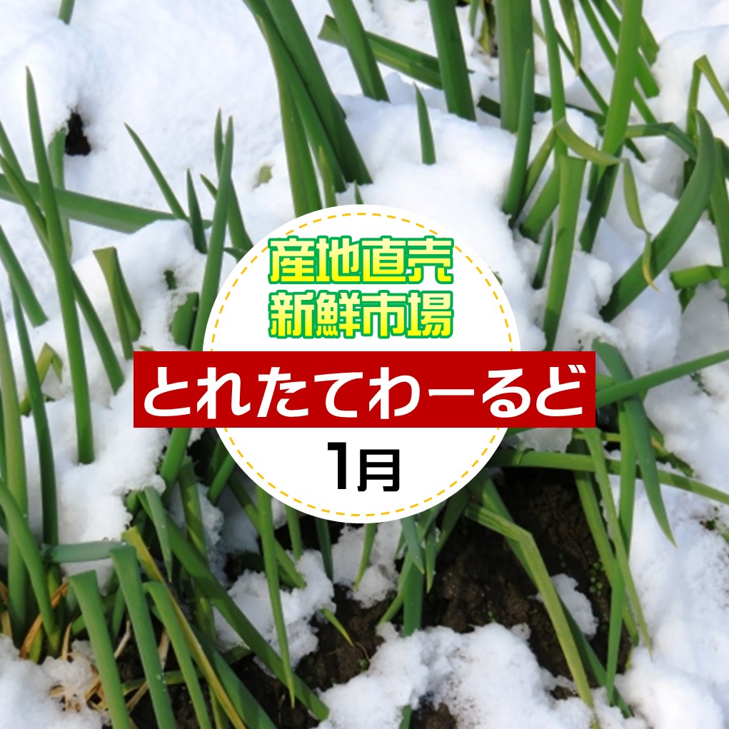 SEAPA（シーパ）公式サイト｜淡路島西淡 ショッピングセンター